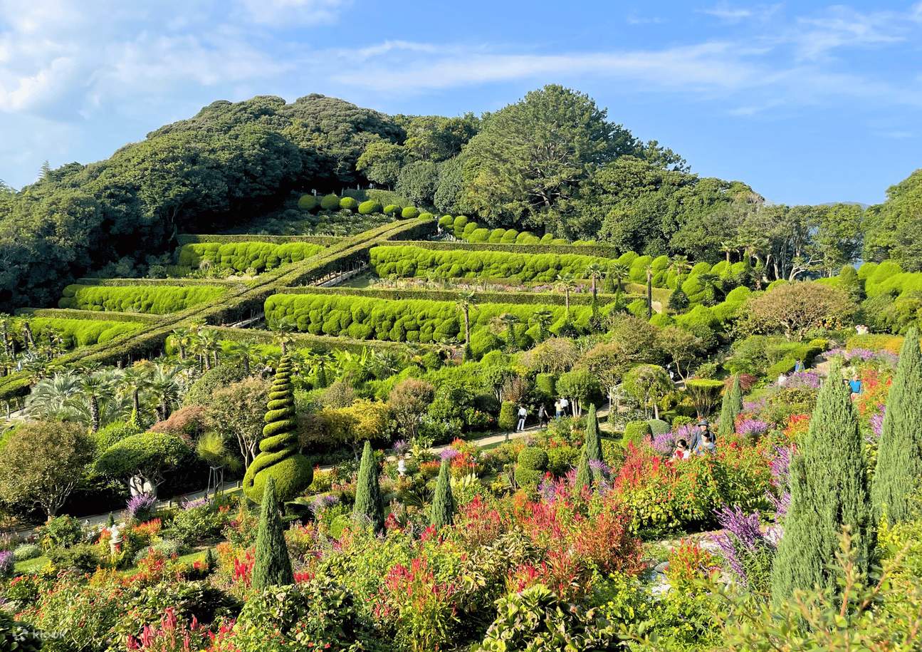 Tur Sehari ke Geoje & Pulau Oedo dari Busan: Petualangan yang Indah ...