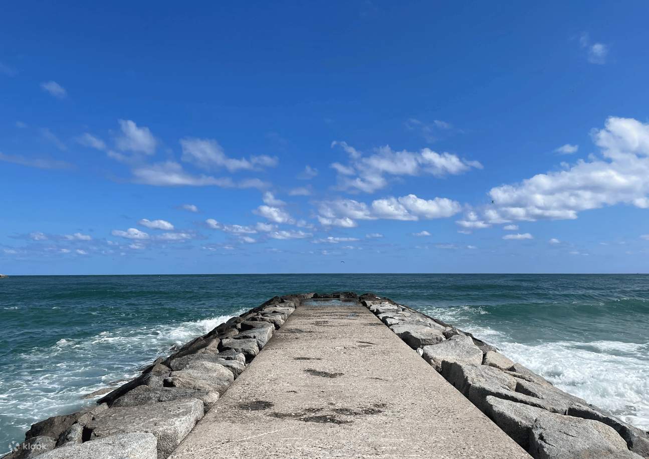 BTS Bus Spot & K-Drama Goblin Filming Spot & Naksansa & Sheep Farm - Klook