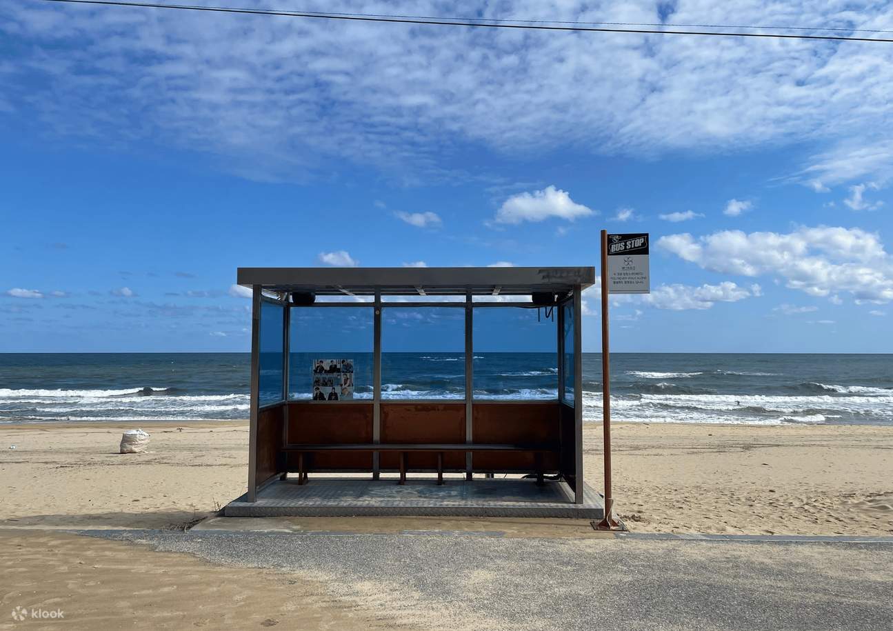 BTS Bus Spot & K-Drama Goblin Filming Spot & Naksansa & Sheep Farm ...