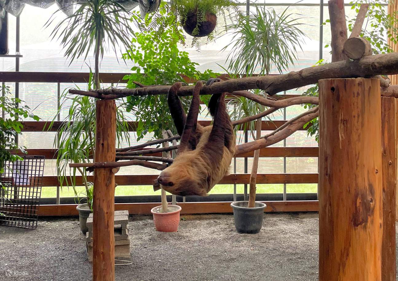 Yilan Zhang Mei Ama Farm Day Tour from Taipei - Klook