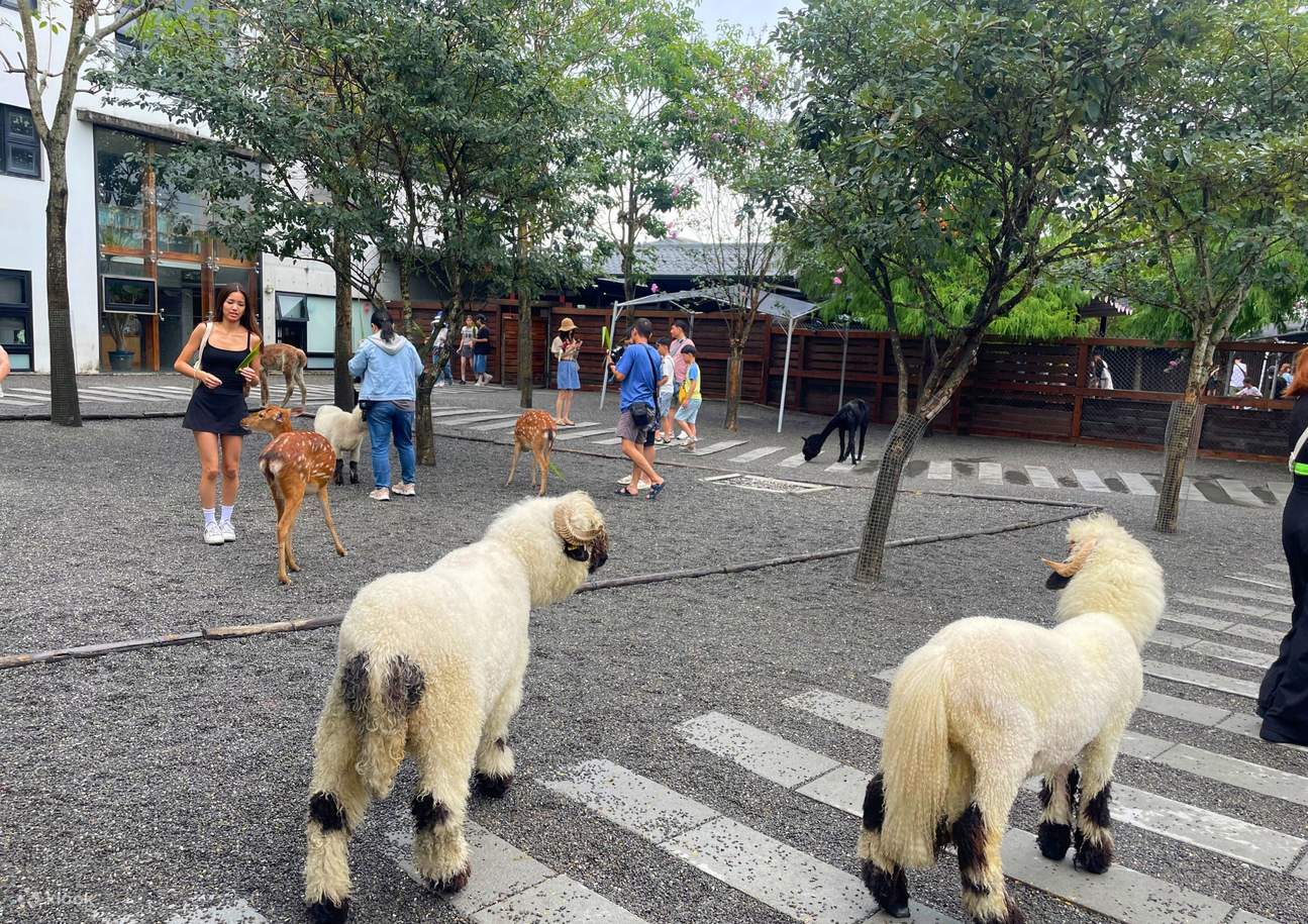 Yilan Zhang Mei Ama Farm Day Tour from Taipei - Klook