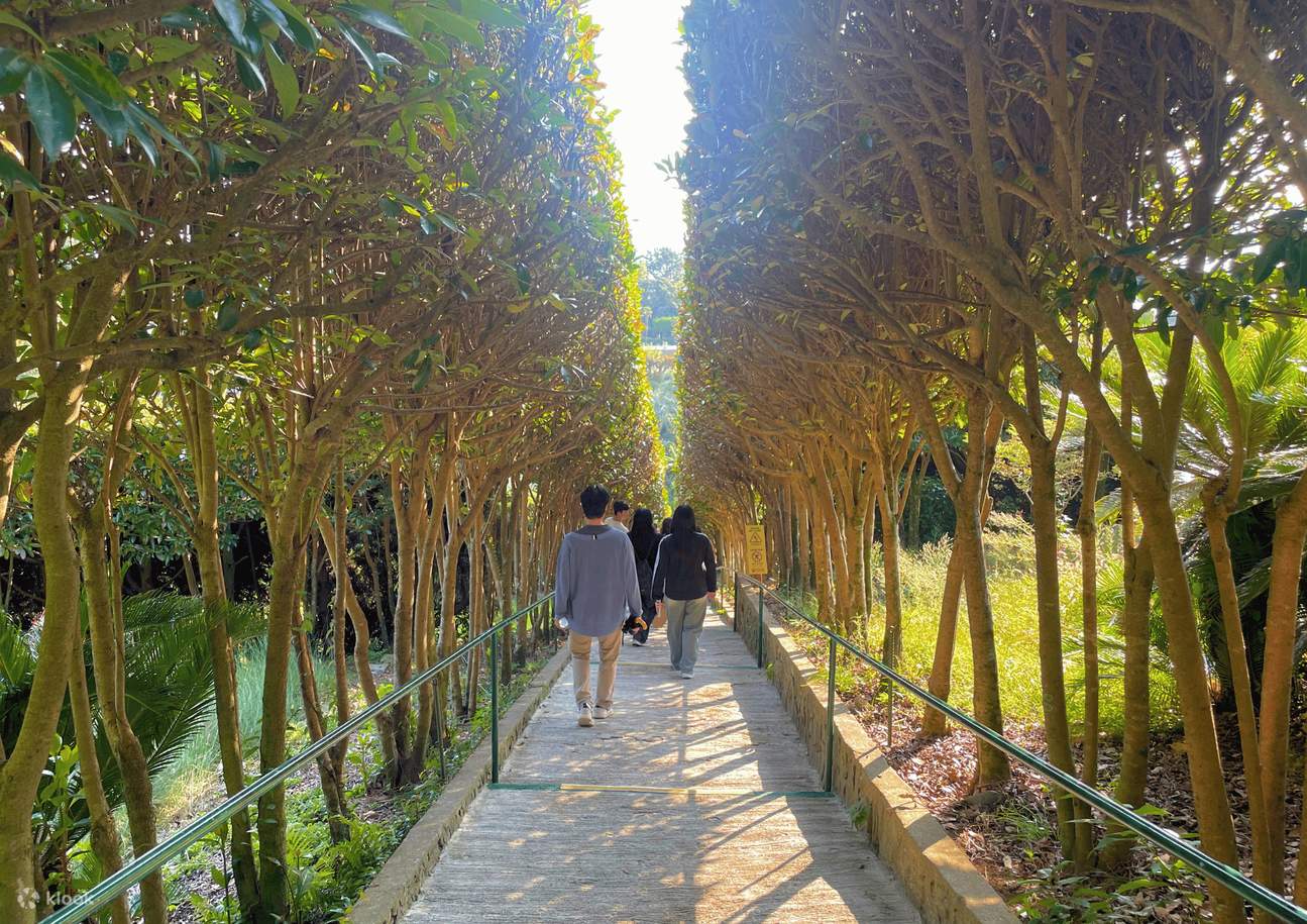 Geoje & Oedo Island Day Tour from Busan: Scenic Adventure - Klook ...