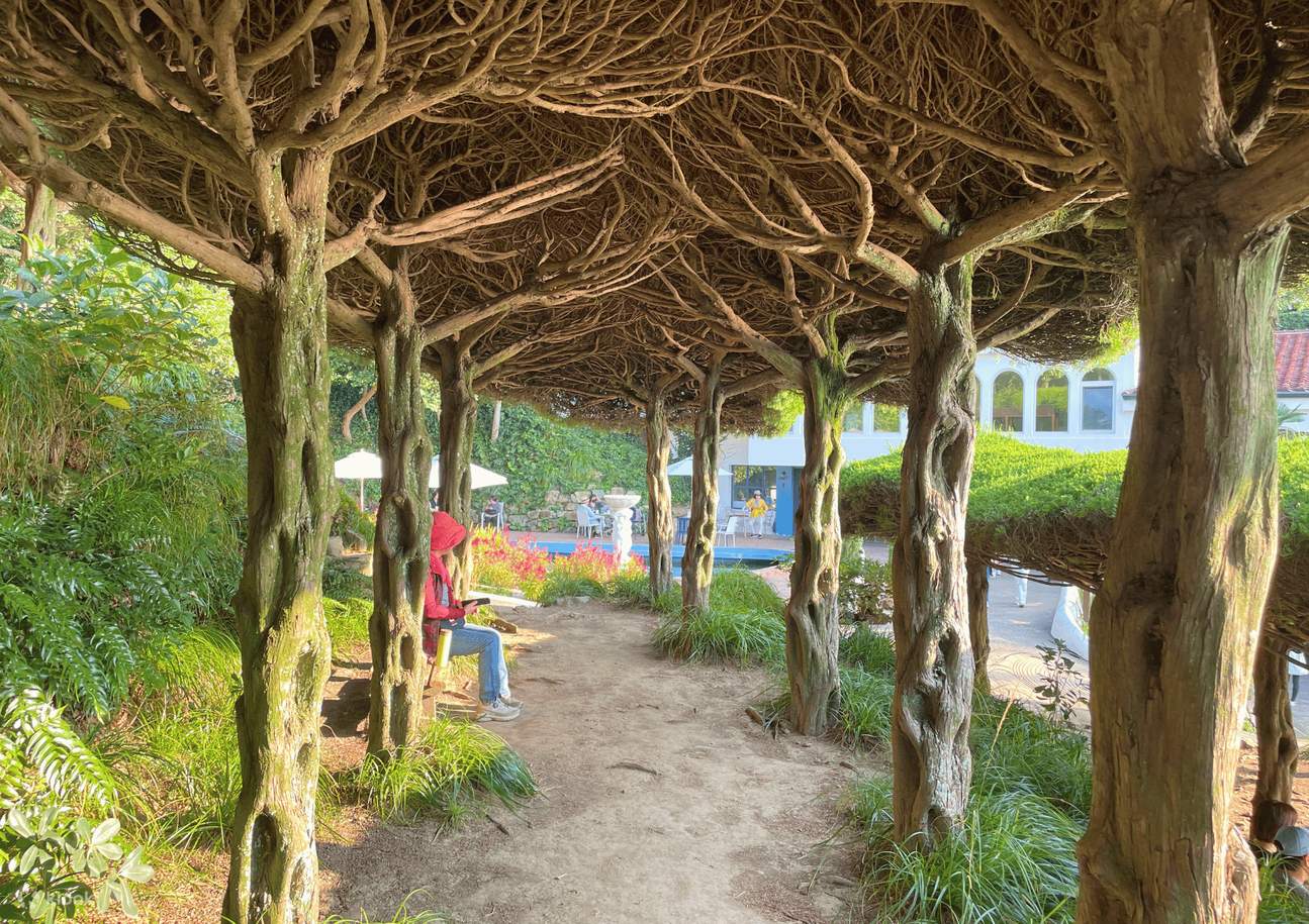 Tur Sehari ke Geoje & Pulau Oedo dari Busan: Petualangan yang Indah ...