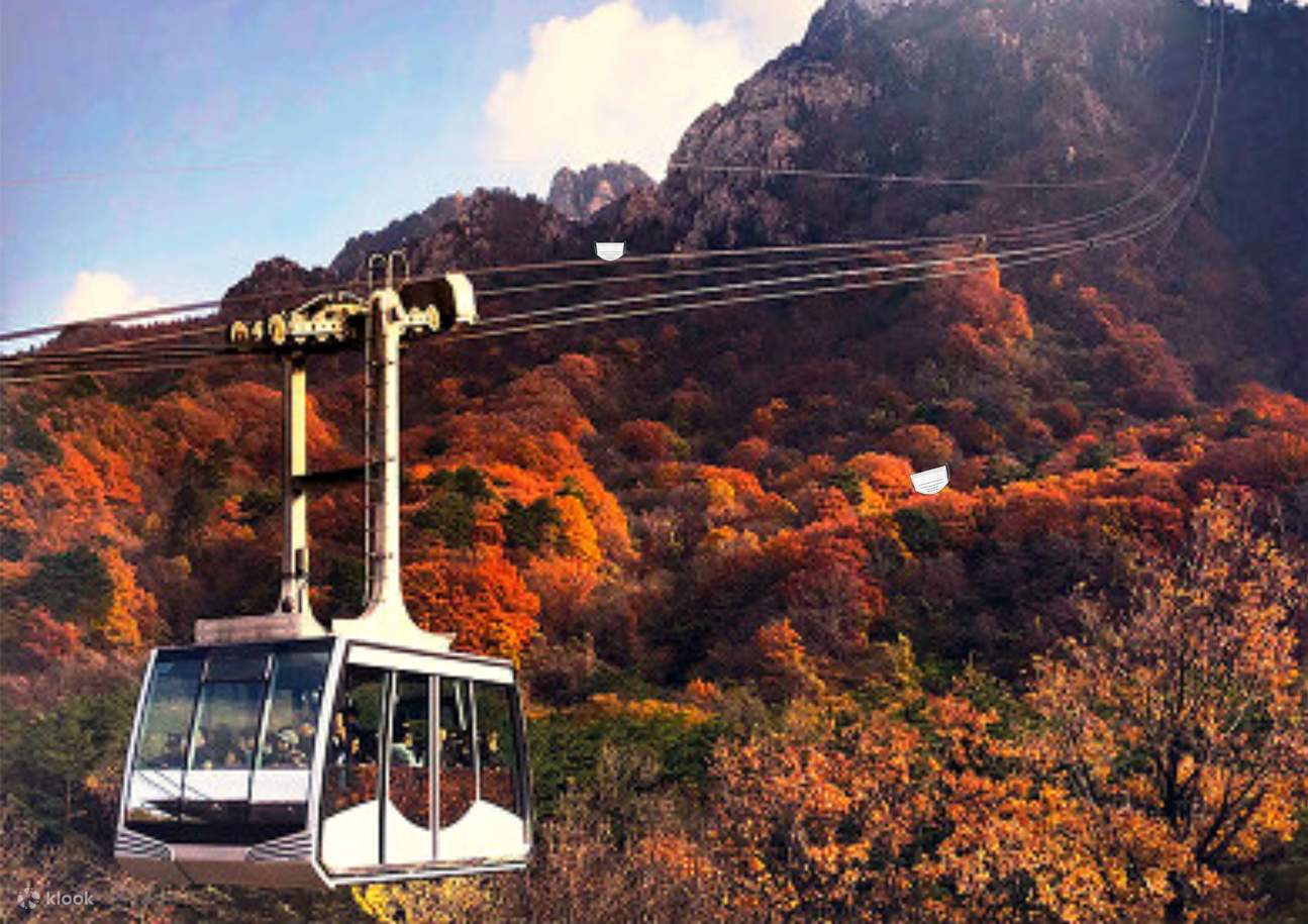 Seoraksan National Park and Hongcheon Ginkgo Forest Day Tour from Seoul ...