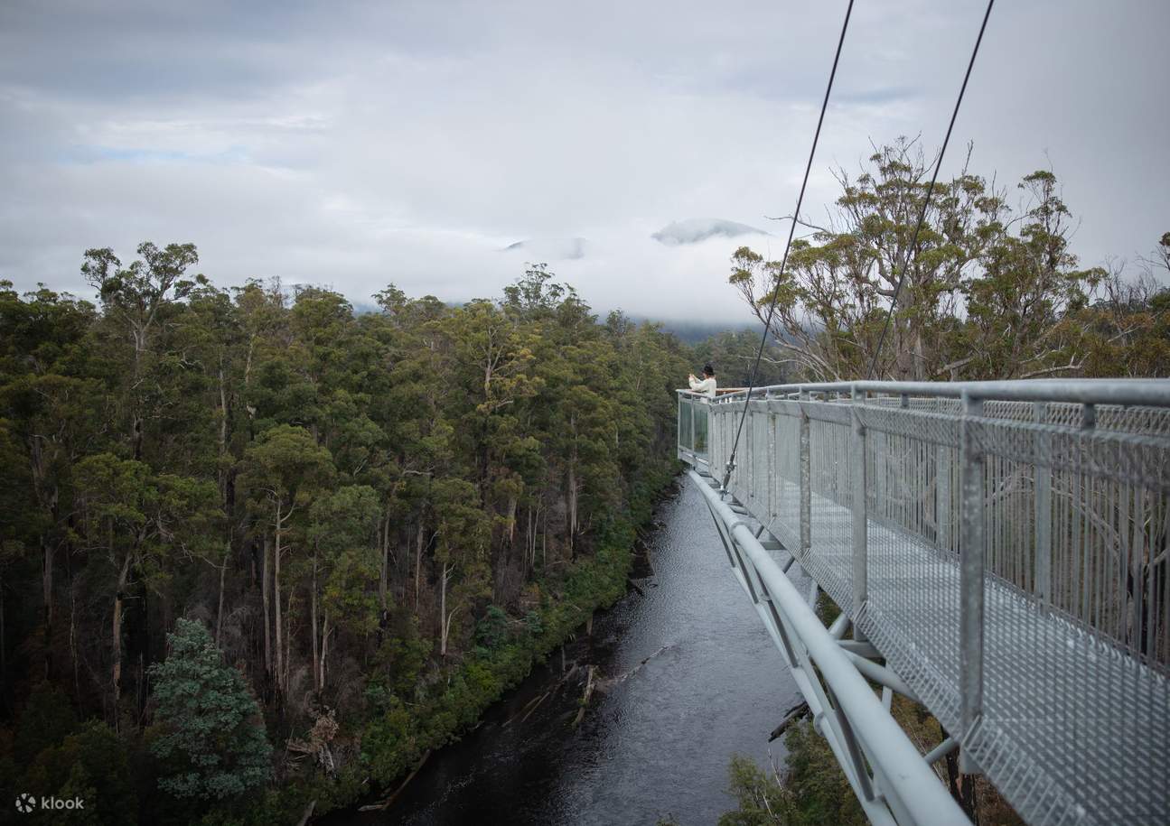 Pakej 4 Hari - Hobart, Port Arthur, Bruny, Hastings dan Tahune - Klook Amerika Syarikat
