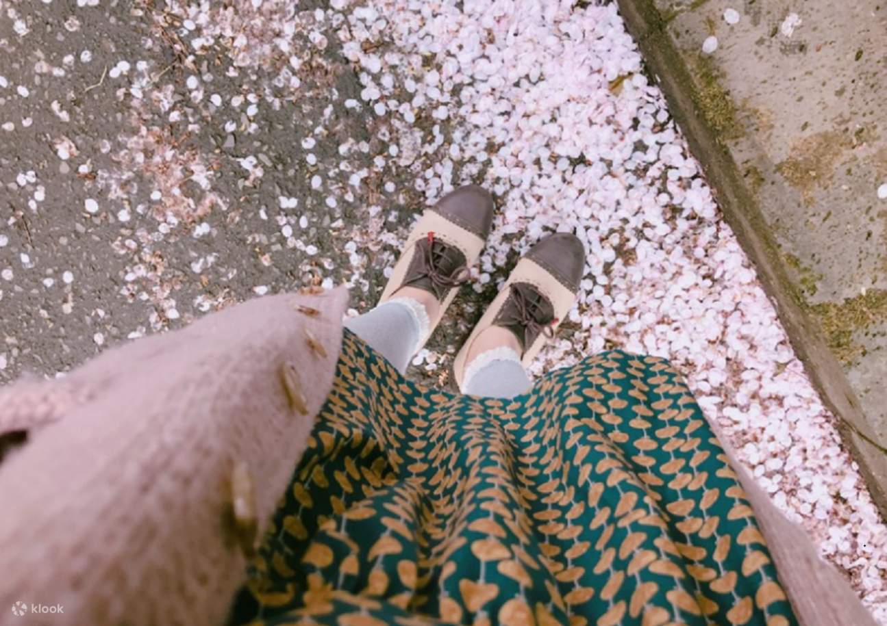 Jeju Day Tour Package Featuring Four Major Seasonal Flowers - Klook ...