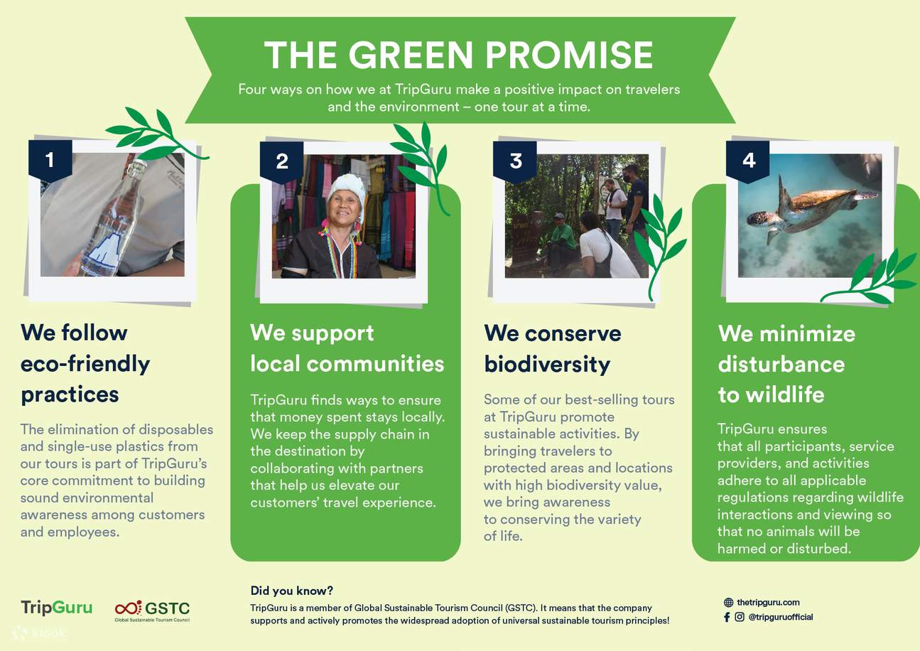 Chiang Rai Temples Tour: White Temple, Blue Temple & Black House ...