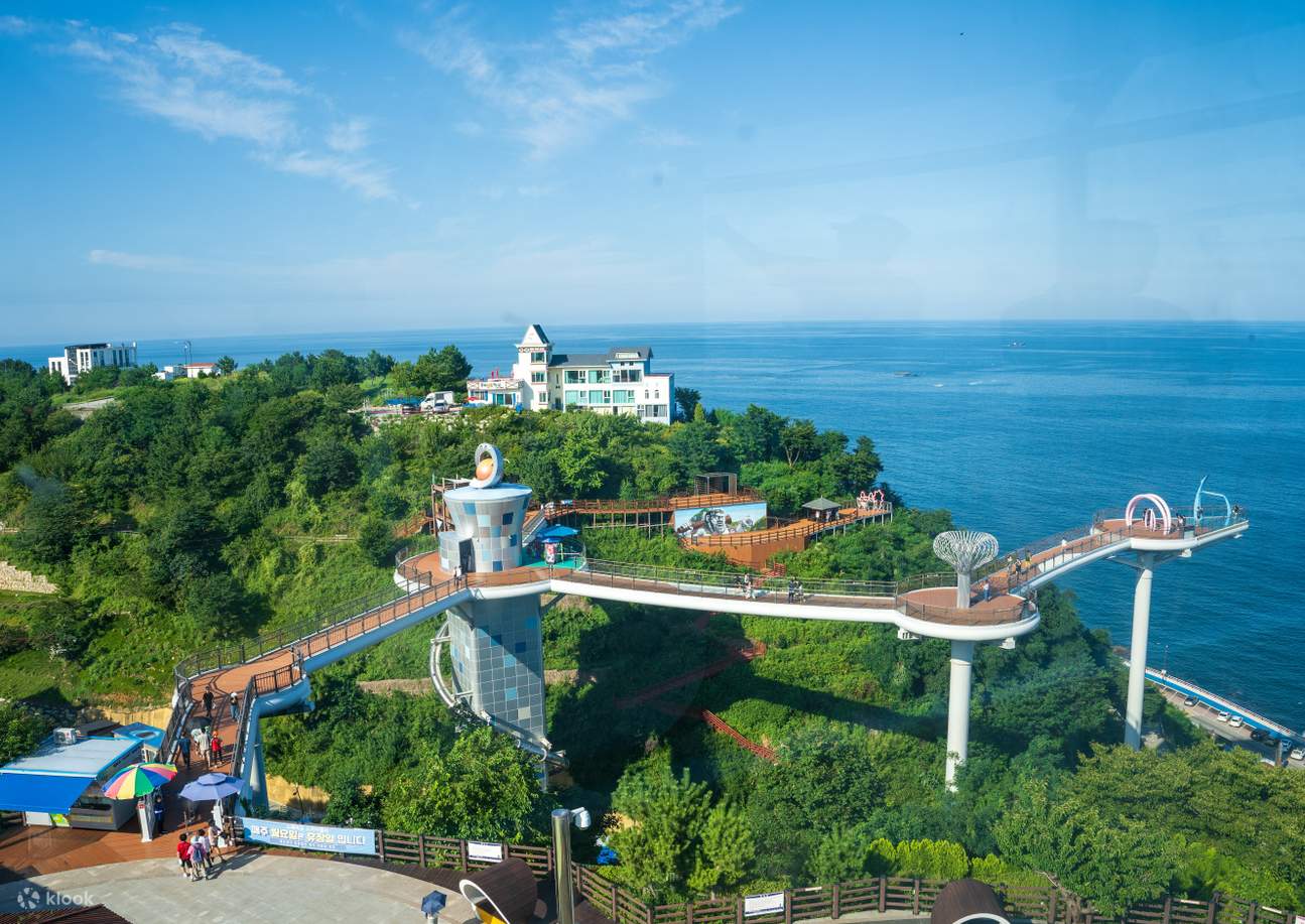 Samcheok Maengbang Canola Flower&Ocean rail bike+Donghae Day Tour - Klook
