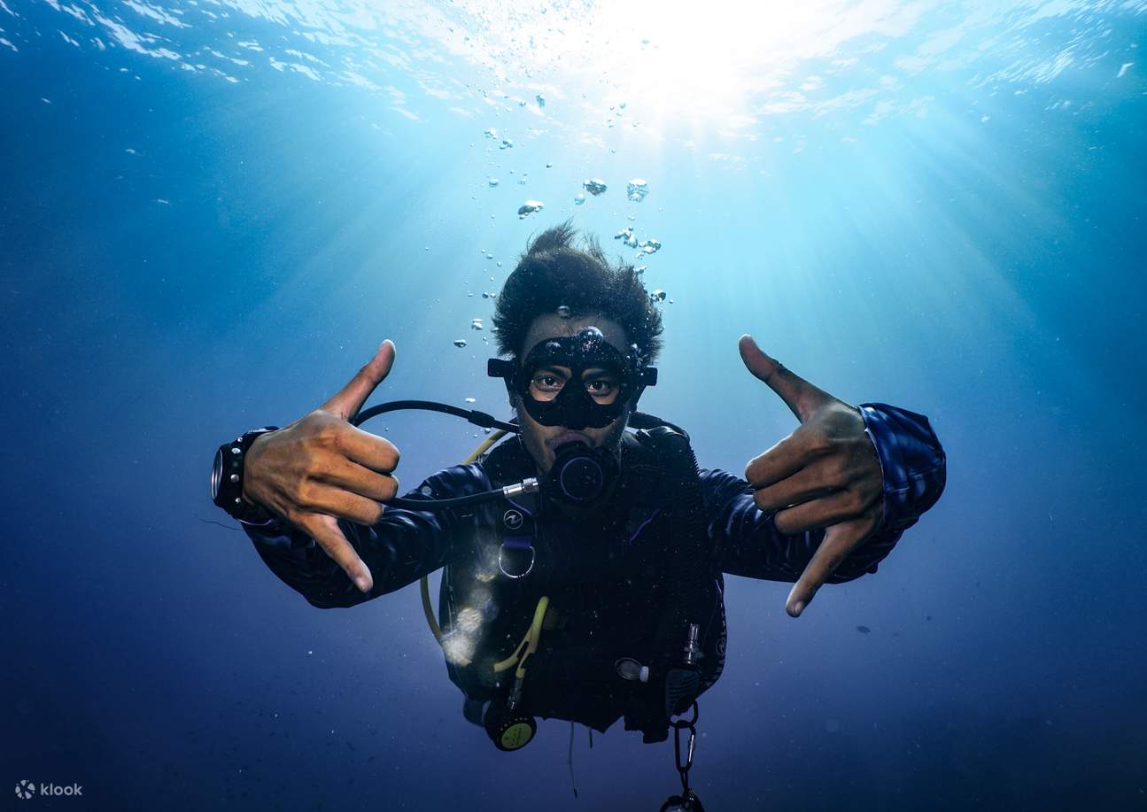 Bergabunglah dalam 2 Penyelaman Scuba Untuk Penyelam Bersertifikat, Koh ...
