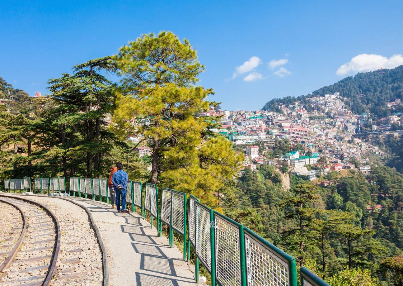 Jelajahi Keindahan Alam Shimla: Jalur Alam Berpemandu selama 3 Jam ...