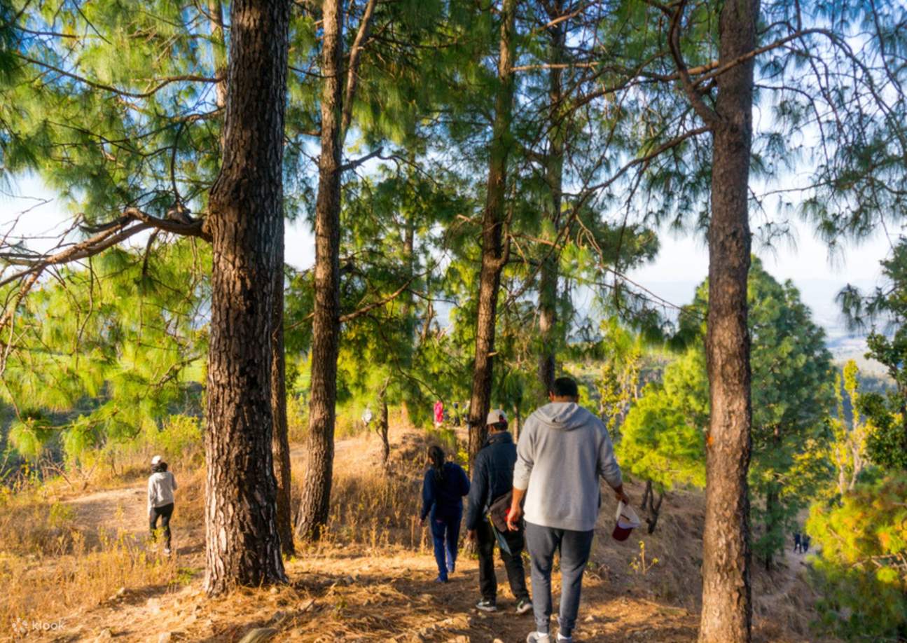Wild Trails of Nainital: 4 Hours Guided Trekking Experience - Klook India
