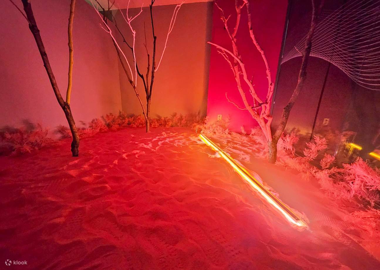 Floral Palette Life Photo Studio#5 Ticket in Seoul - Klook India