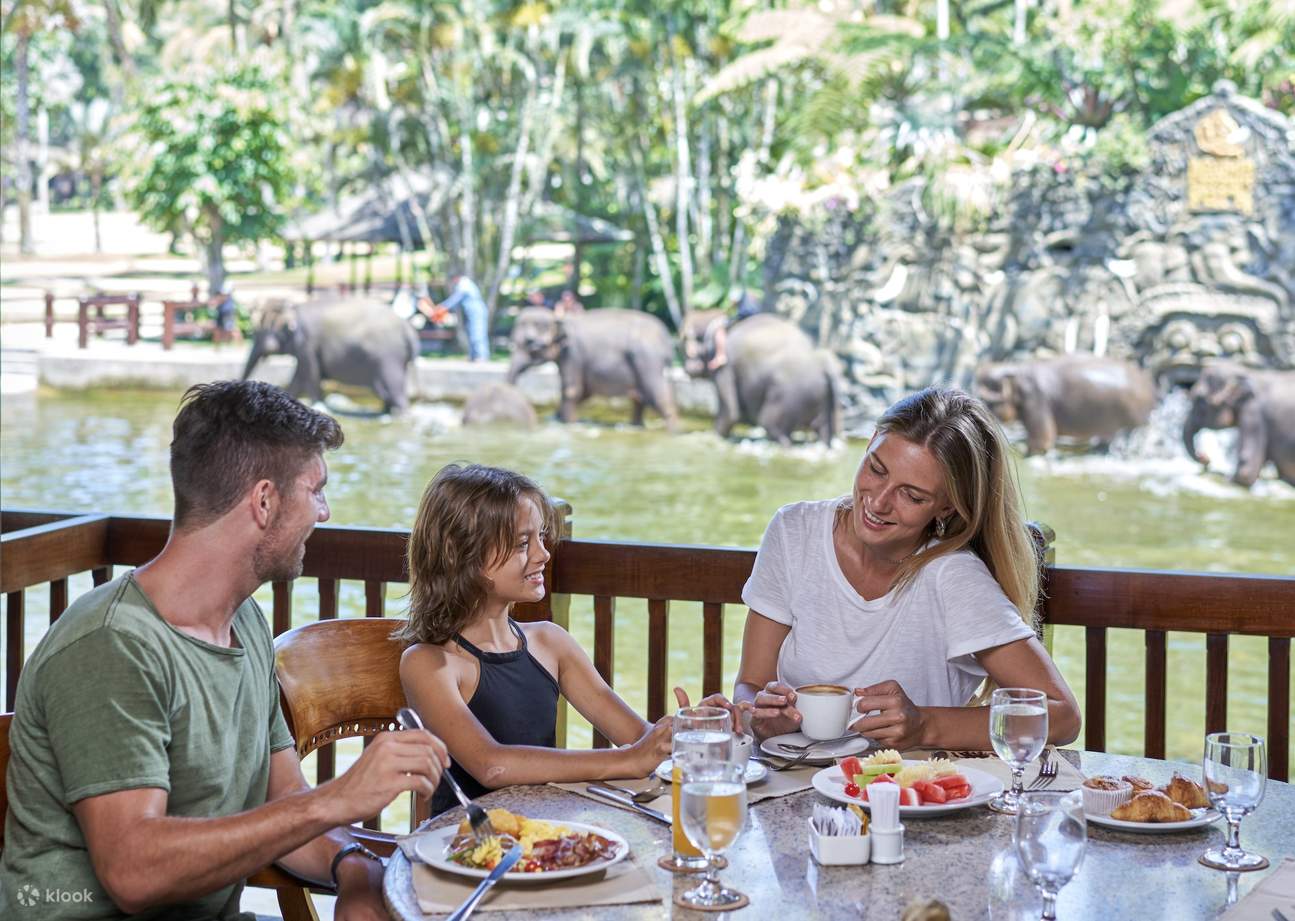 Pengalaman Mandi dan Sarapan Bersama Gajah di Mason Elephant Park di ...