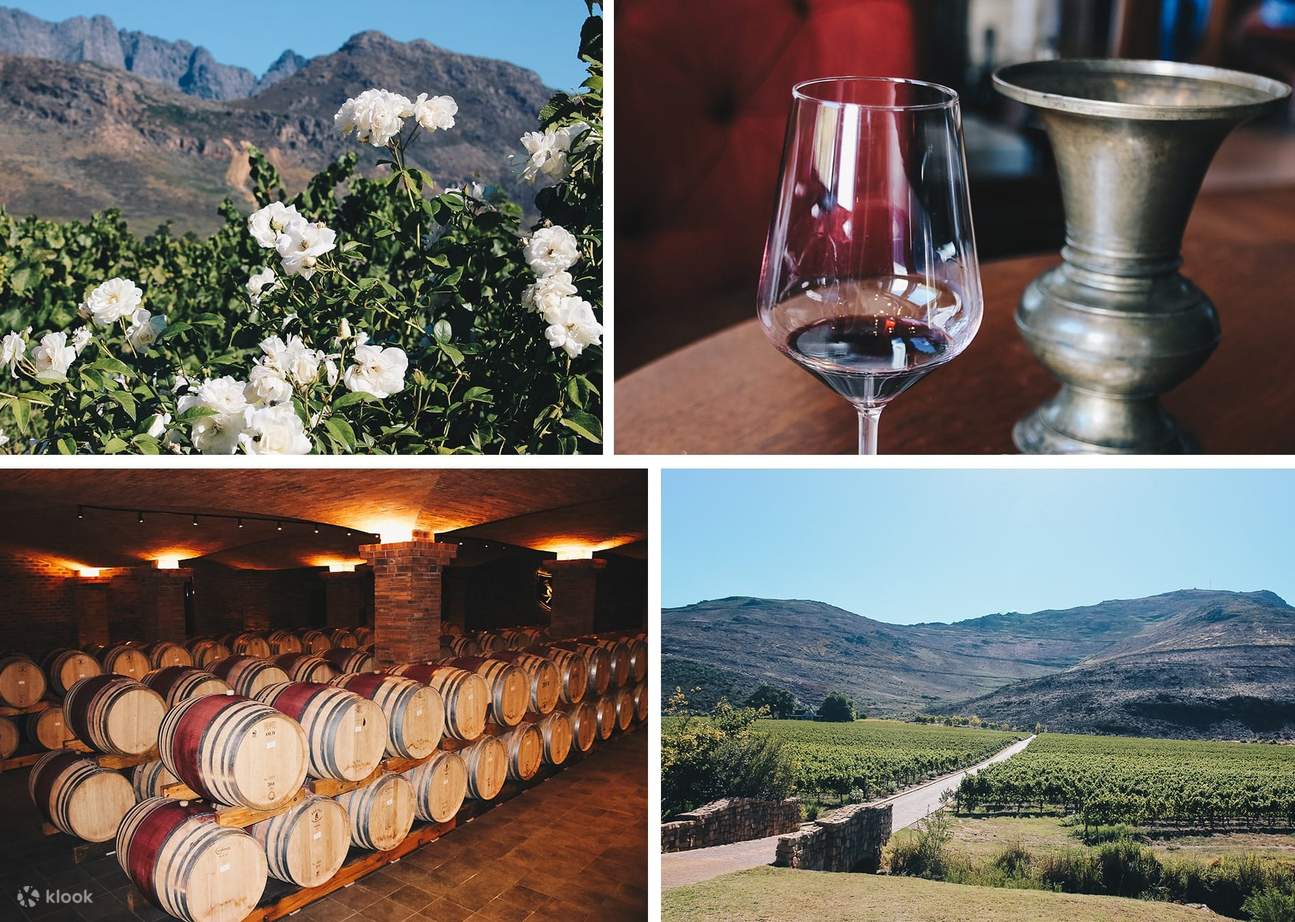 Cape Town Wine Story With Wine Tastings Private Day Tour - Klook ...