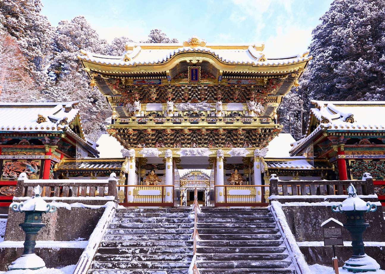 Nikko Toshogu Shrine Maple Viewing Exquisite Small Group Chartered ...