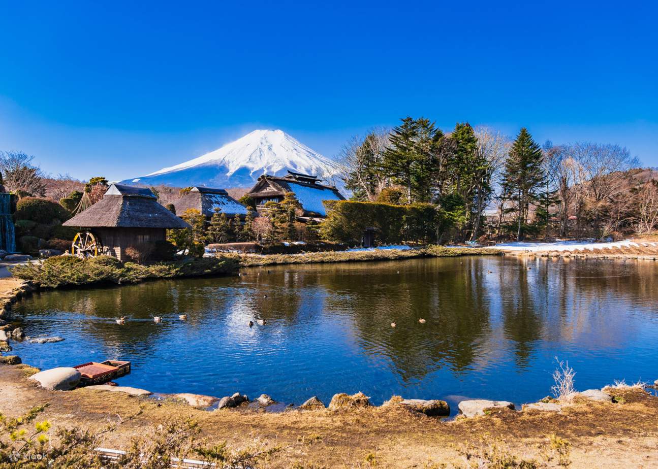 Popular Mt. Fuji amphibious bus day tour｜KABA BUS/Swan Lake Cruise ...