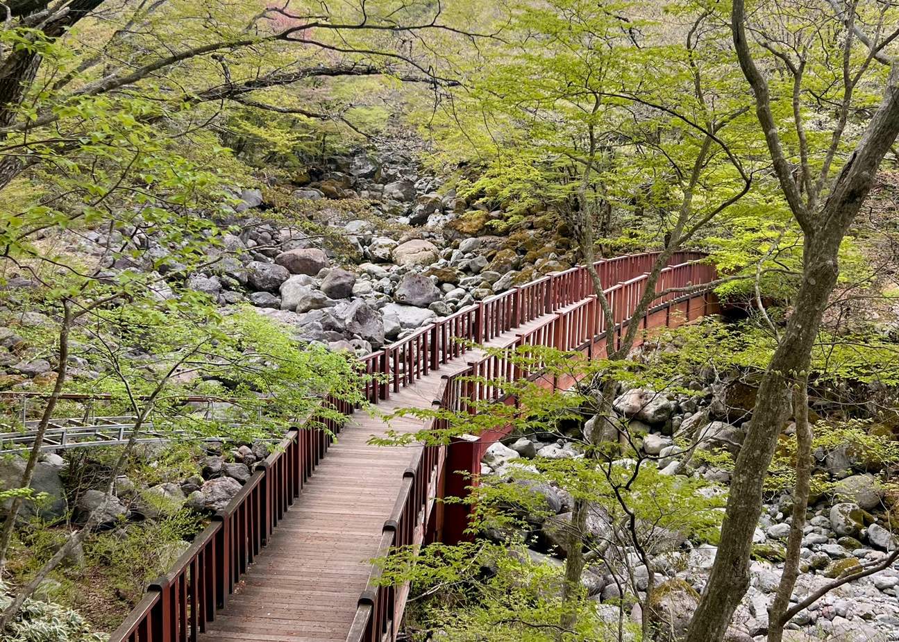 Western Jeju Island Day Tour - Klook New Zealand