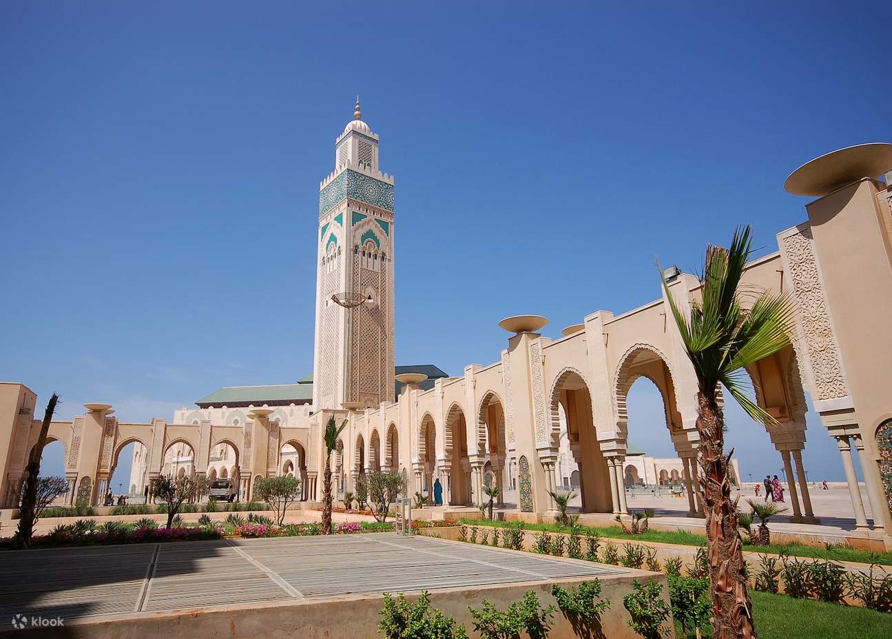 Marrakech to Casablanca Day Tour: Lawati Masjid Hassan II Ikonik ...