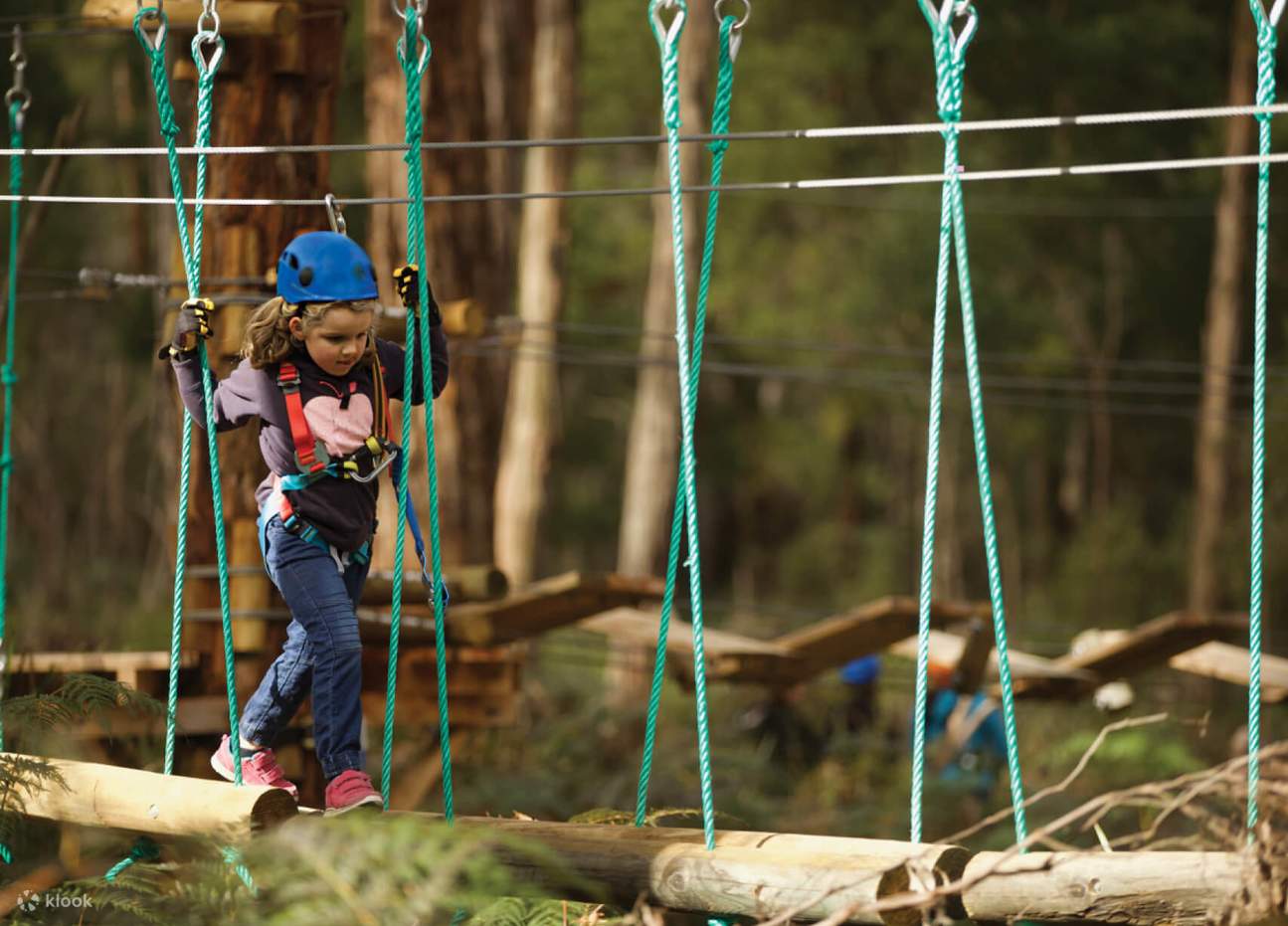 Treetops Adventure Yeodene Park Experiences - Klook New Zealand