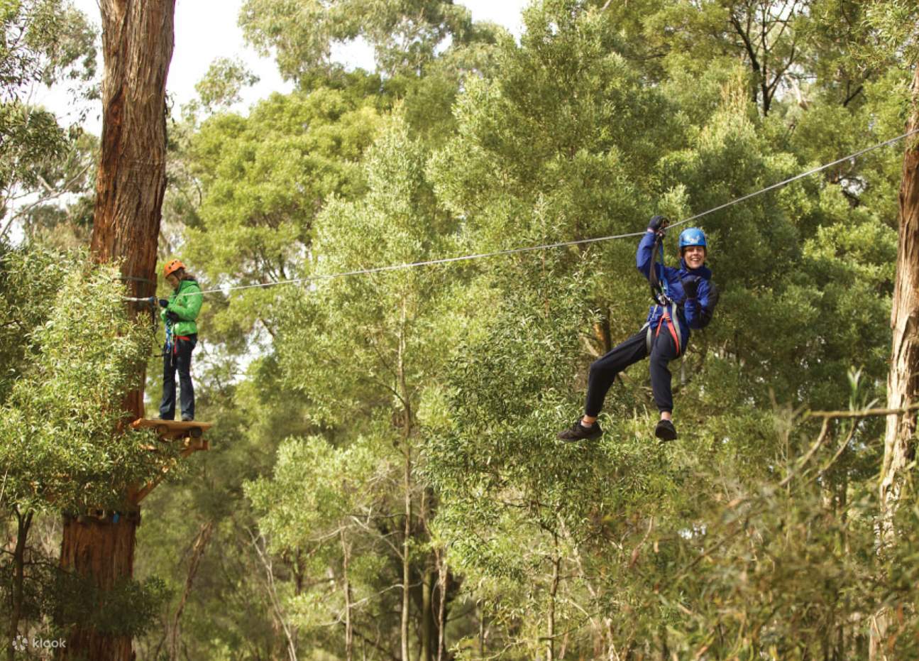 Treetops Adventure Yeodene Park Erlebnisse - Klook, Vereinigte Staaten