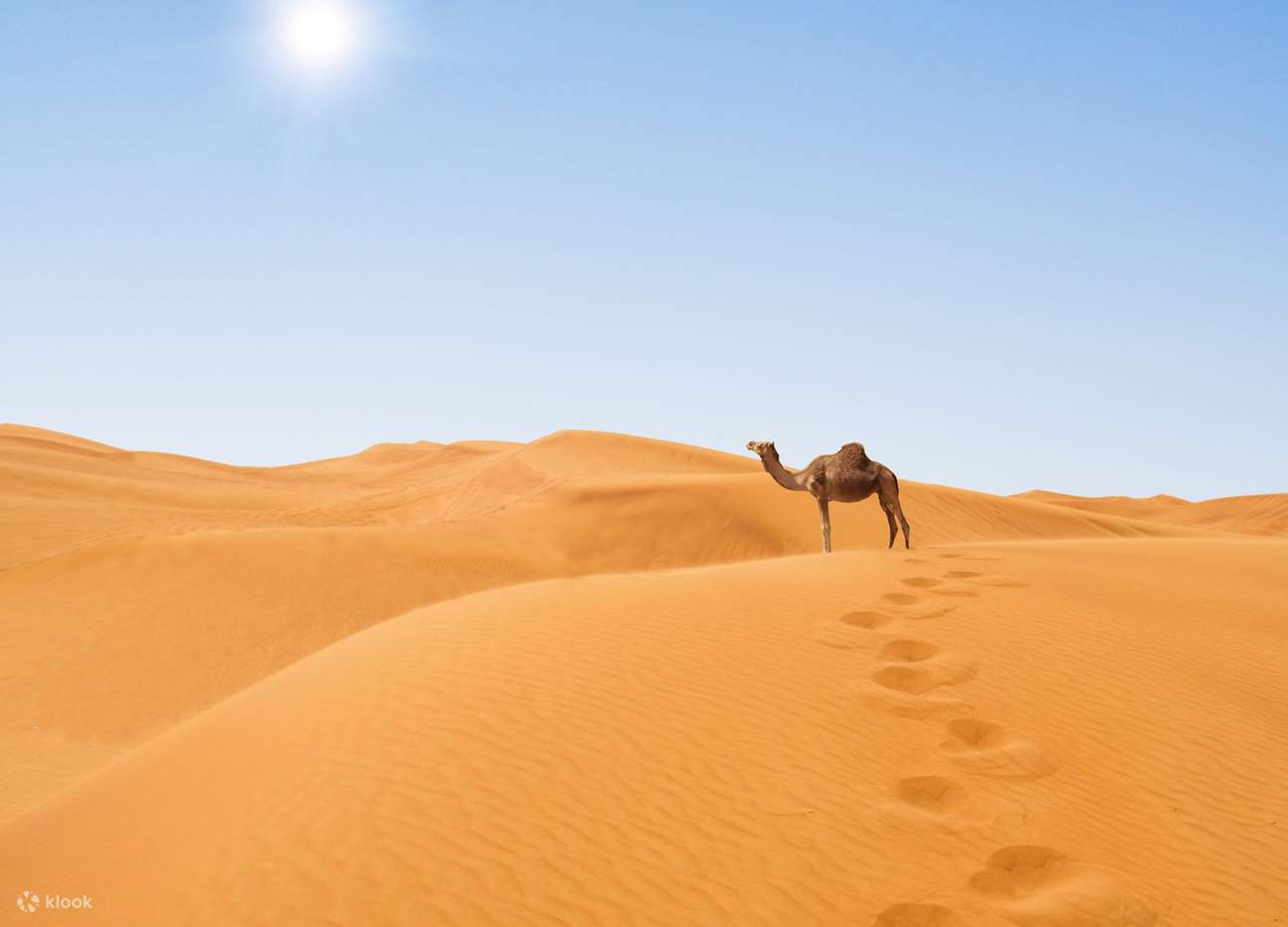 3-Days Unforgettable Merzouga Desert From Ouarzazate - Klook Philippines
