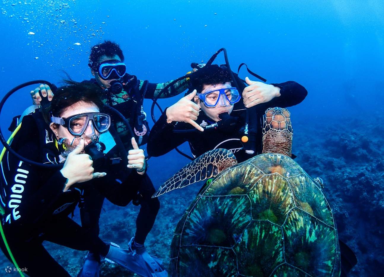 Liuqiu Dive Diving Experience in Xiaoliuqiu - Klook
