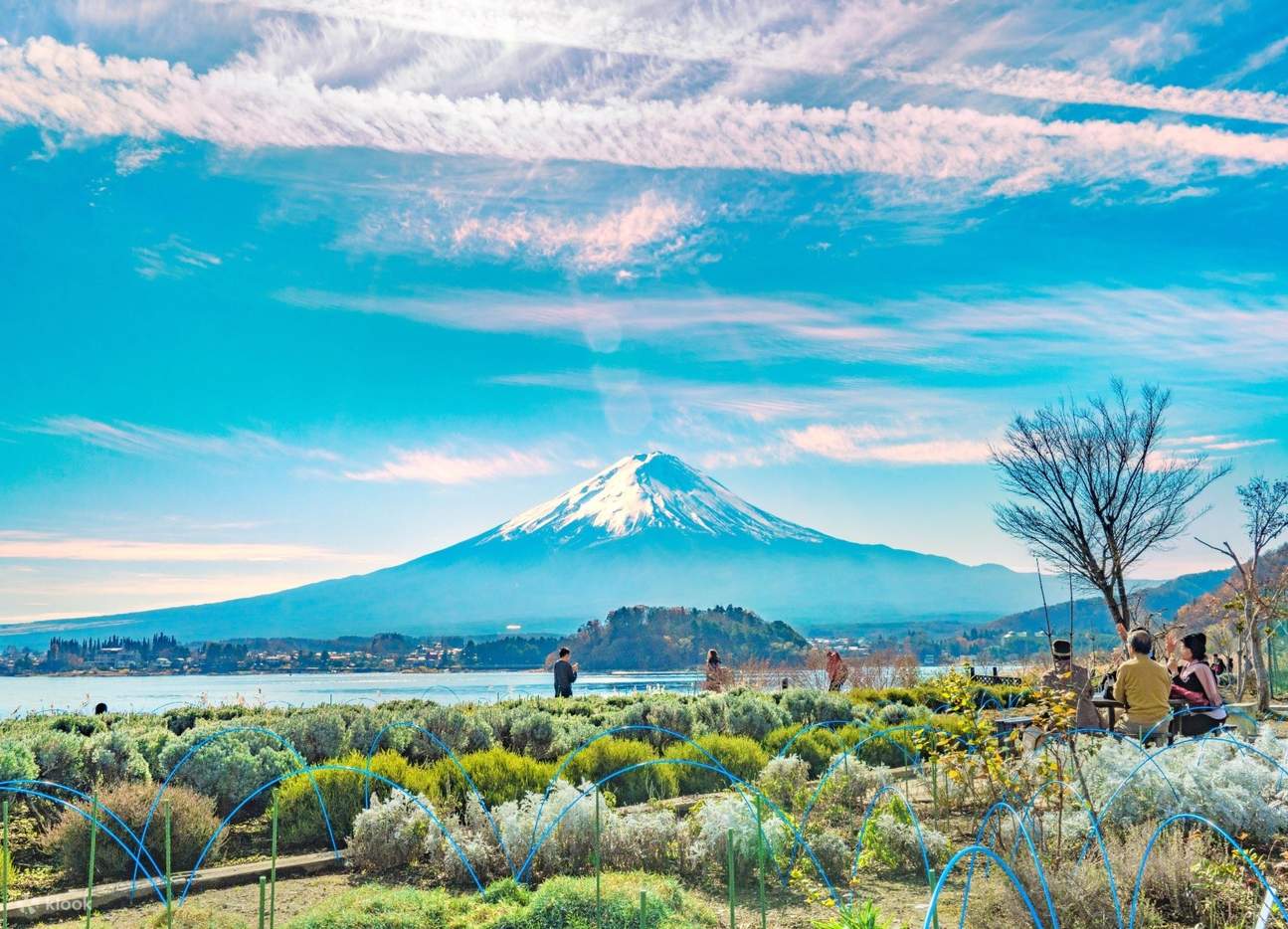 Mt. Fuji Oishi Park x Oshino Hakkai x Koedo Kawagoe Tour di un giorno ...