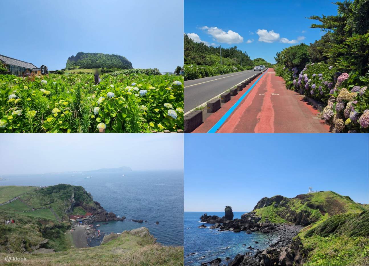 Jeju Private Car Charter - Klook Singapore