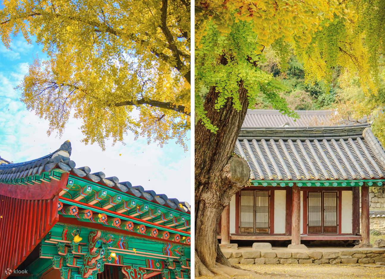 Jeonju Hanok Village & Seasonal Popular Attractions Day Tour - Klook