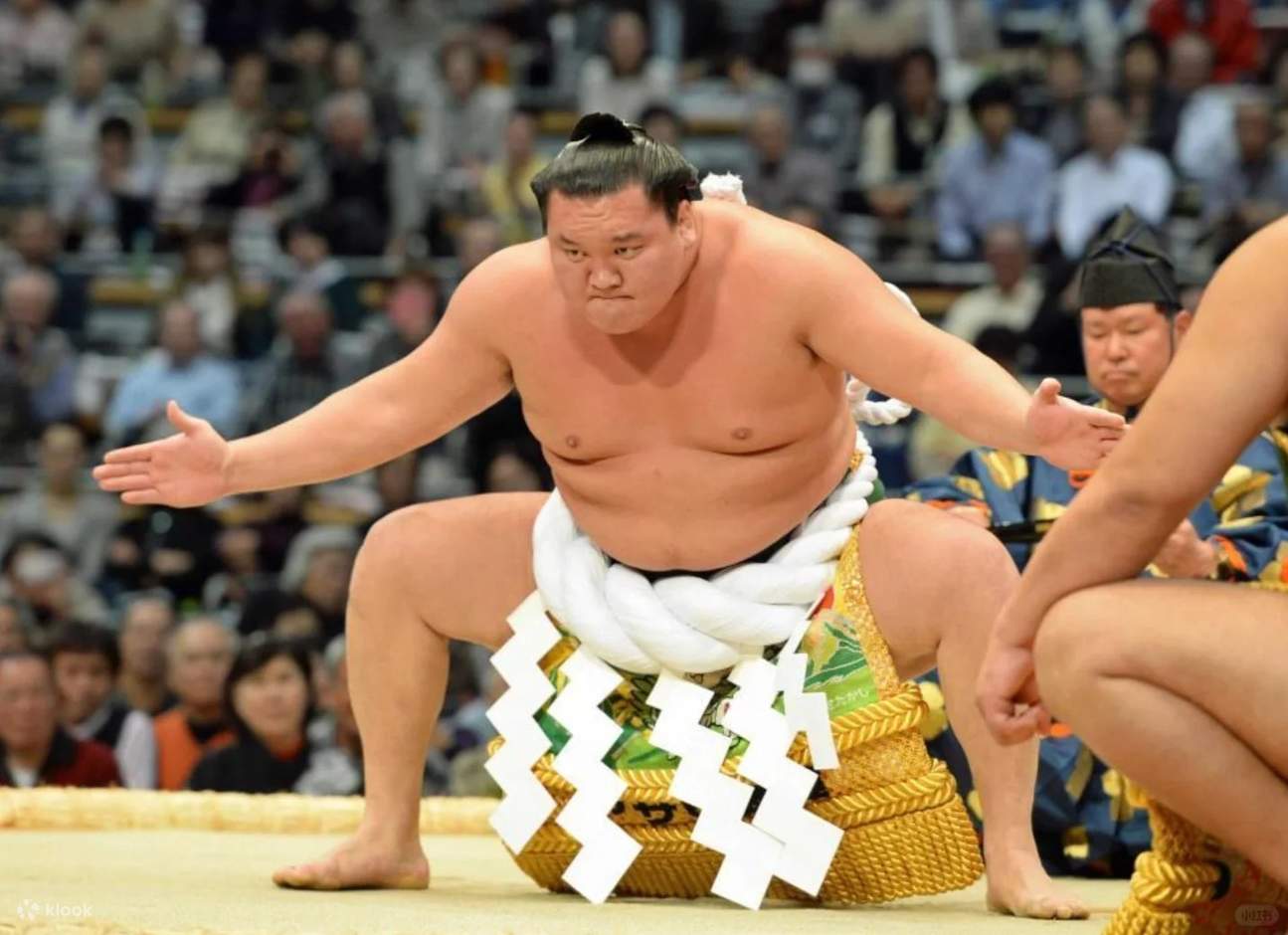 Japan Sumo Wrestling Tour - Yokohama Station | Live Viewing at Pia ...