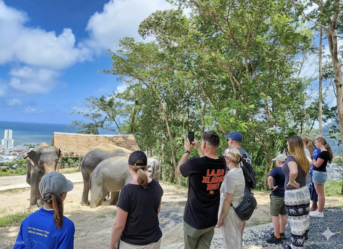 Patong Hill tribe Elephant Village Combo adventure - Klook Singapore