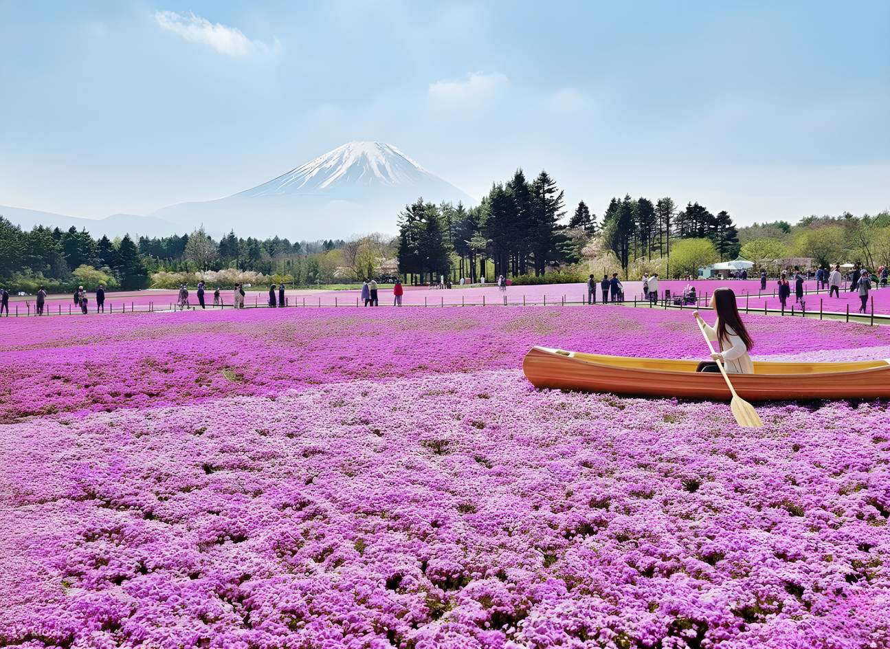 [Mt. Fuji & Hakone] Fujisan Yumeno Ohashi, Owakudani, Oshino Hakkai ...