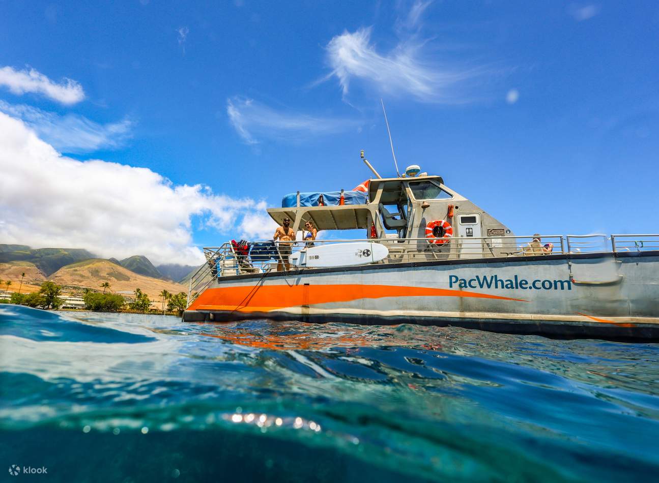 Sharks of the Reef Snorkel Tour in Maui - Klook New Zealand