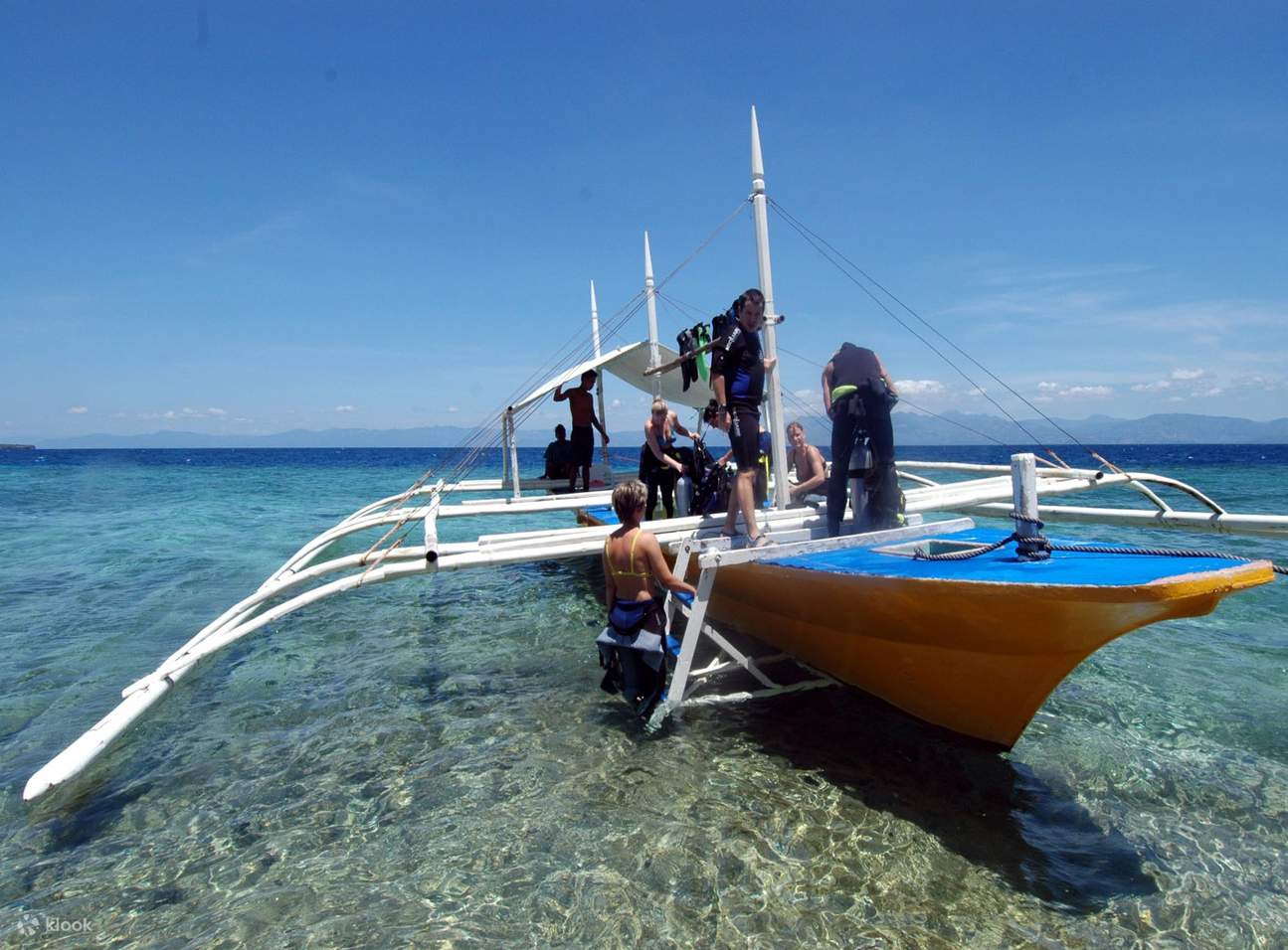 Explore the Depths: 5-Dive Moalboal Reef Package in Moalboal with PADI ...