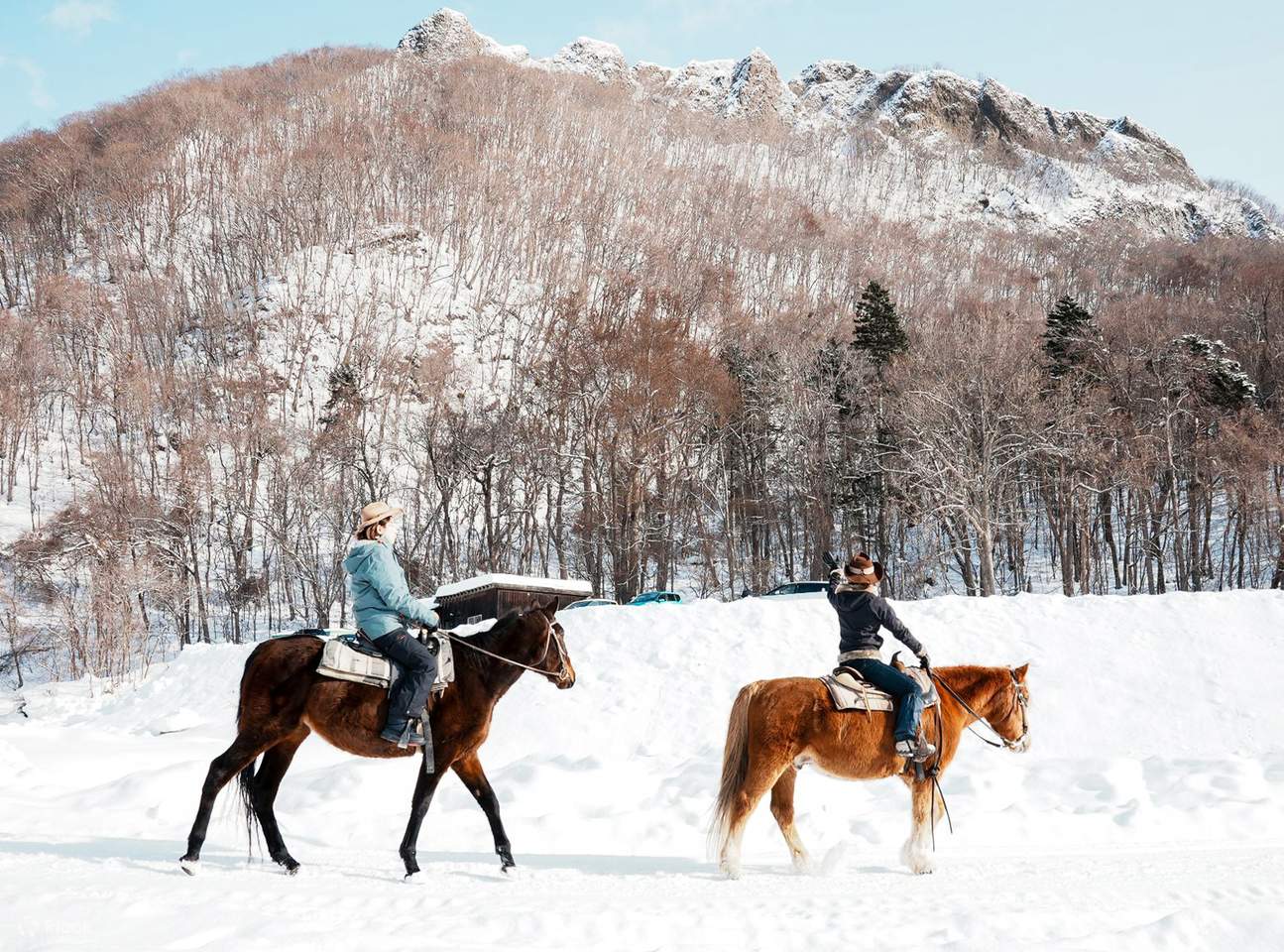 Sapporo Kokusai Ski Resort Day Trip | Includes round-trip ...