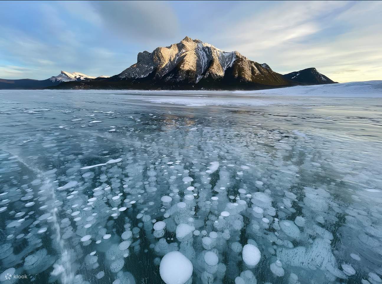 Abraham Lake Ice Bubbles and Peyto Lake Icefield Day Tour - Klook États-Unis