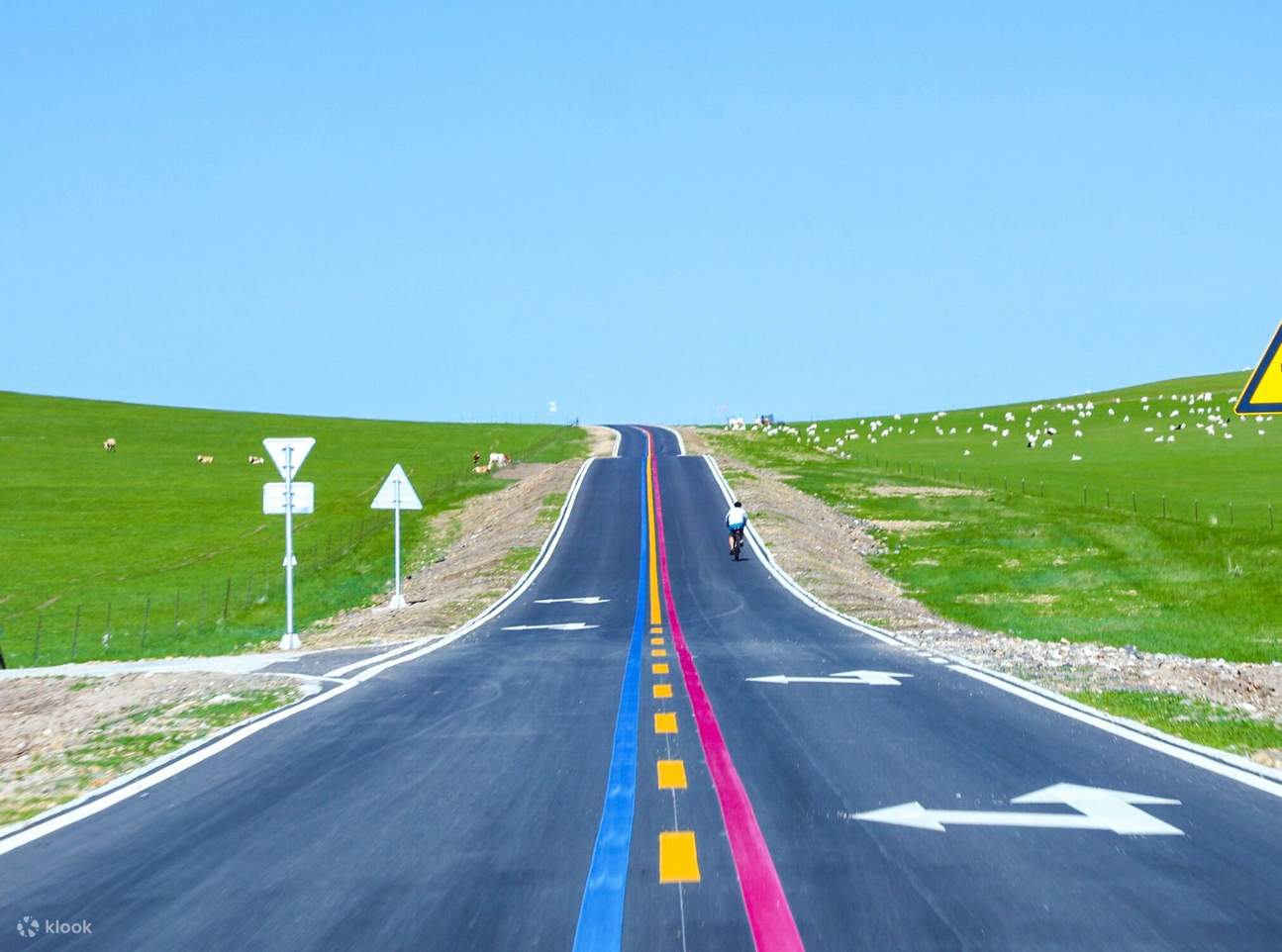 7-Day/6-Night Private Tour of Inner Mongolia's Traverse Grassland ...