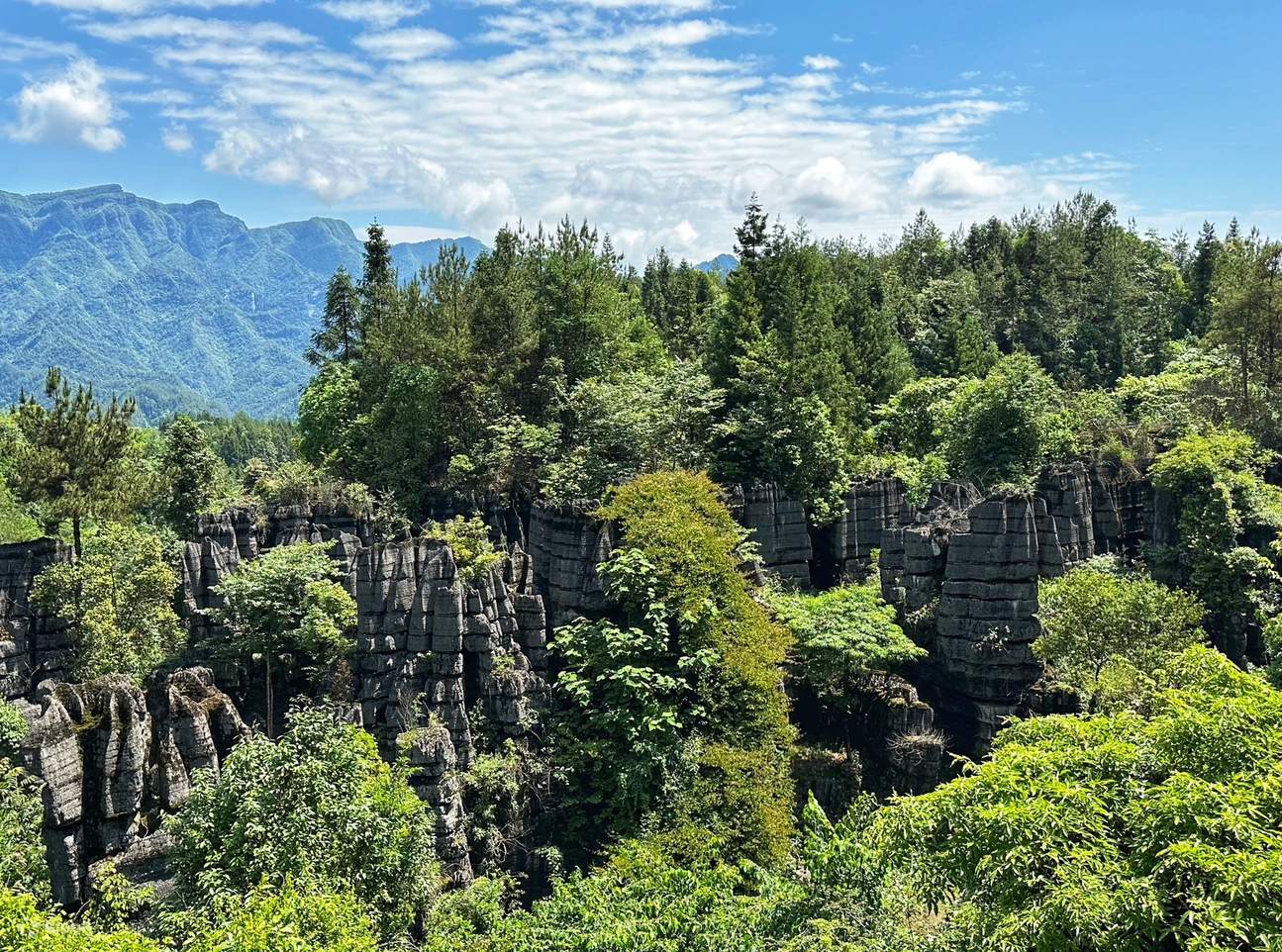 Hubei Enshi Grand Canyon + Sobuya Stone Forest 2-Day Tour (4/5 Diamond ...