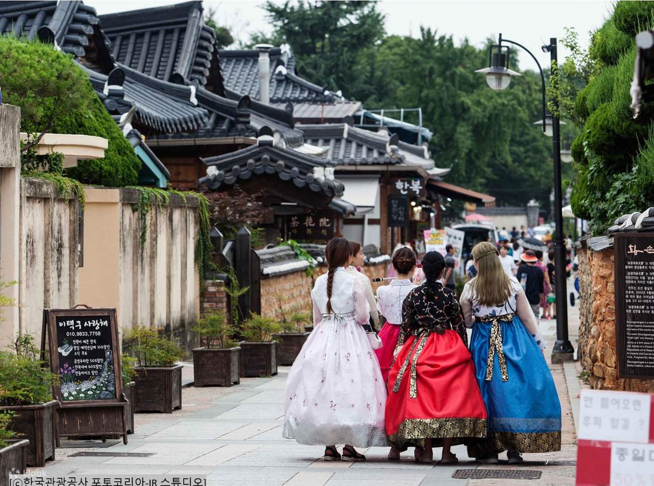 Korea Cherry Blossom Tour from Seoul - Klook États-Unis