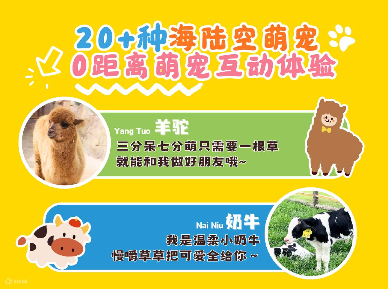 2026 Spring Festival Yuanming New Garden Pet Carnival - Klook New Zealand