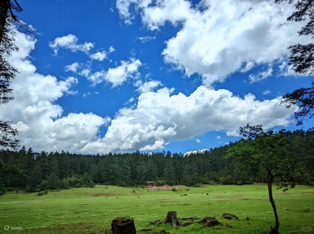 Yunnan Lijiang Yulong Snow Mountain Yakniuping Cableway Blue Moon ...
