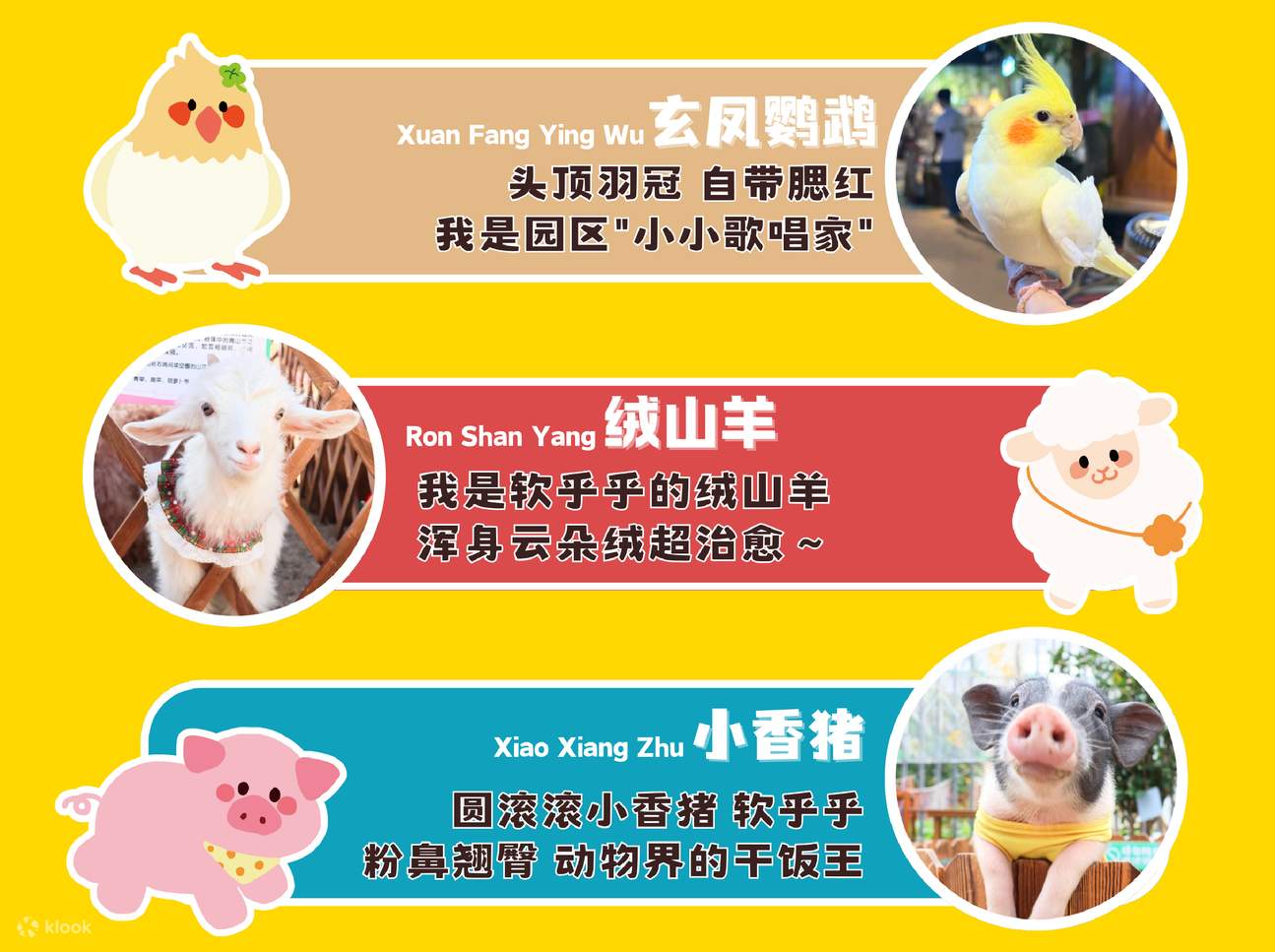 2026 Spring Festival Yuanming New Garden Pet Carnival - Klook Australia