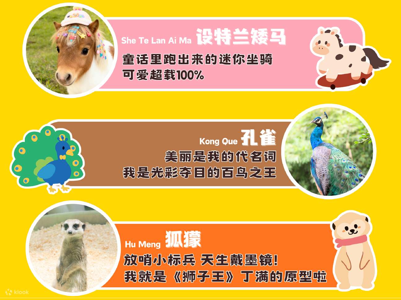 2026 Spring Festival Yuanming New Garden Pet Carnival - Klook United States