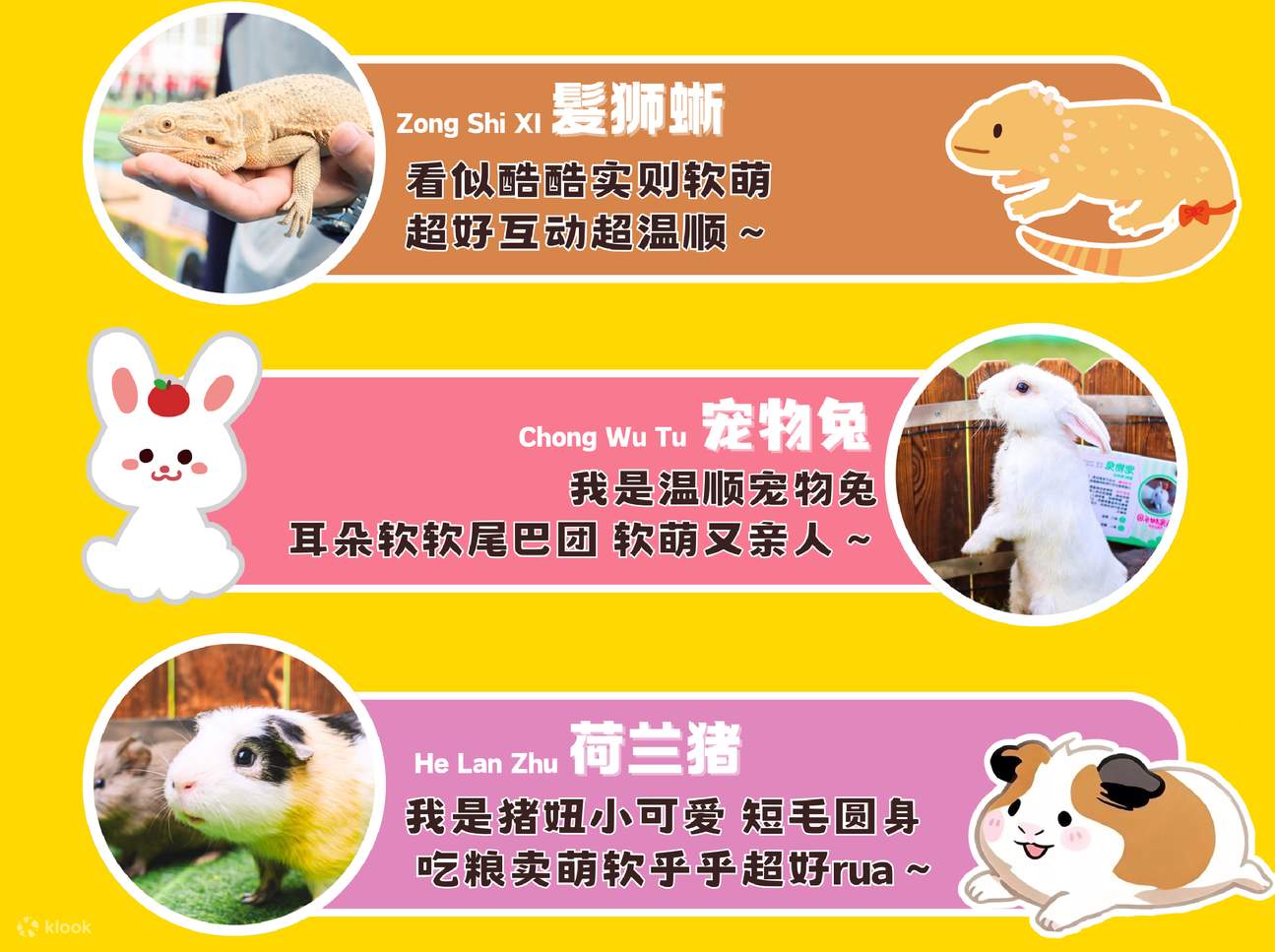 2026 Spring Festival Yuanming New Garden Pet Carnival - Klook New Zealand