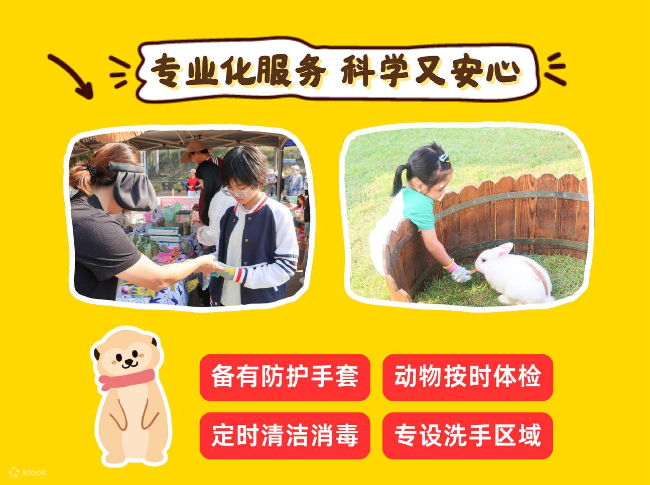 2026 Spring Festival Yuanming New Garden Pet Carnival - Klook United States
