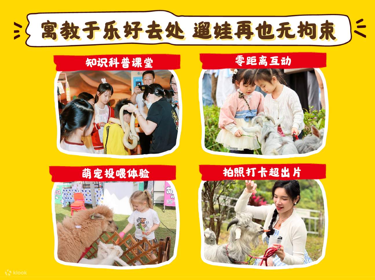 2026 Spring Festival Yuanming New Garden Pet Carnival - Klook Hong Kong