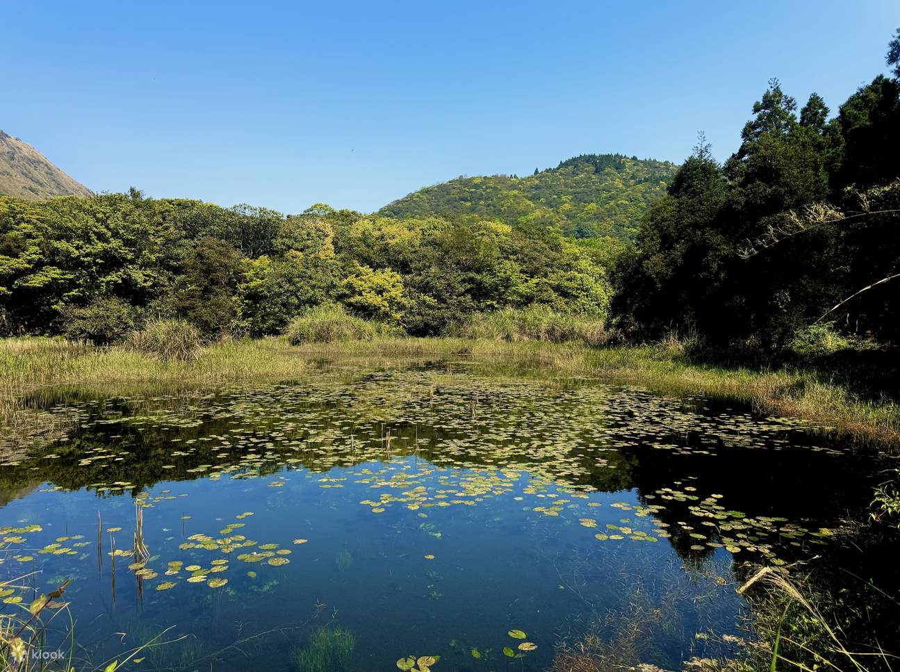 阳明山and北投一日游（西门町出发） Klook客路