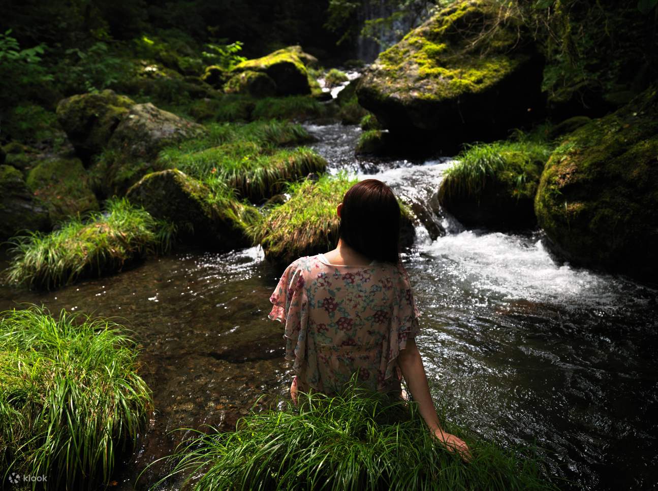 Forest Bathing Hong Kong - Klook Hong Kong