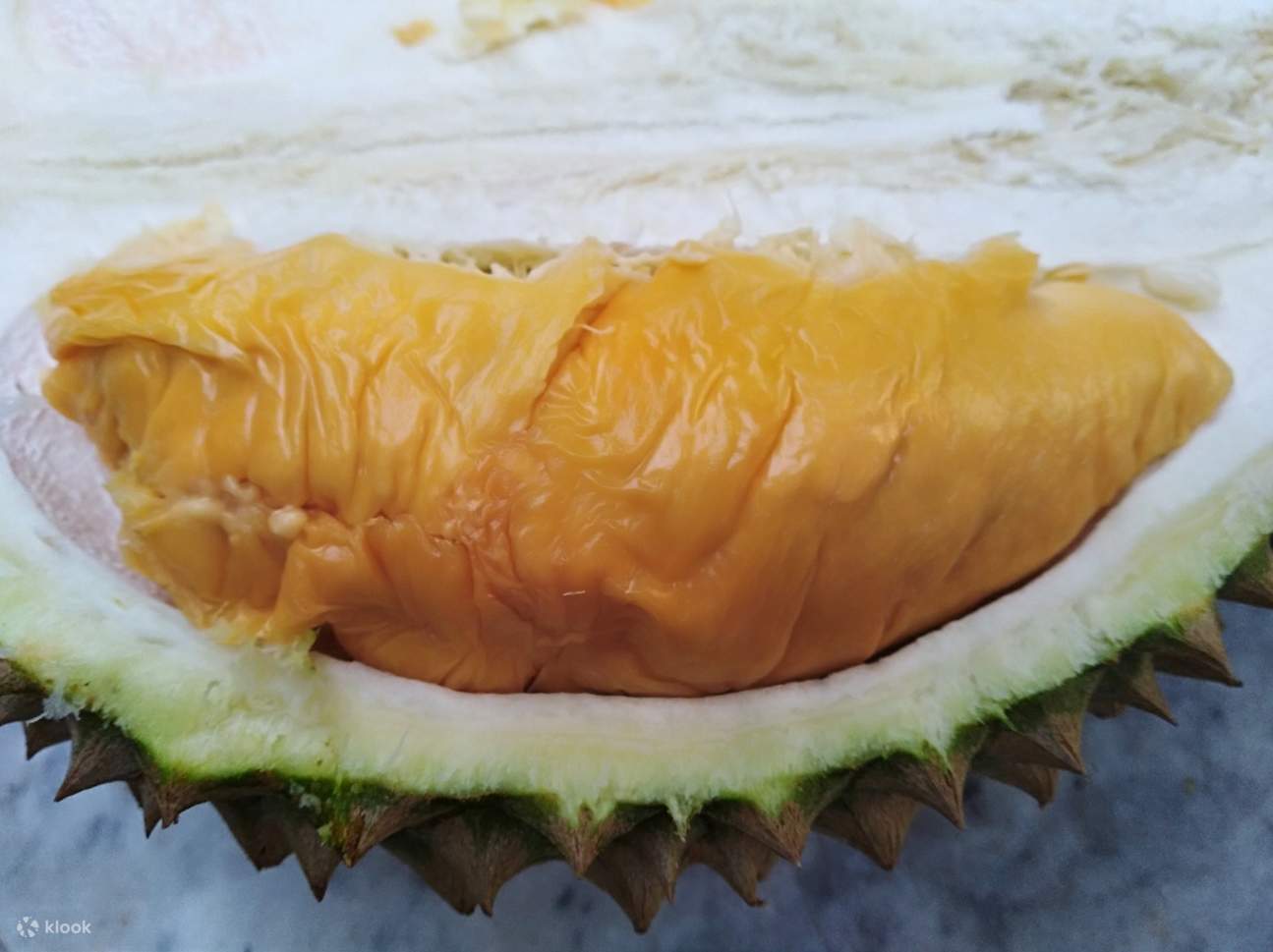 Jelajah Dusun Mencicipi Durian di Pulau Pinang - Klook Amerika Syarikat