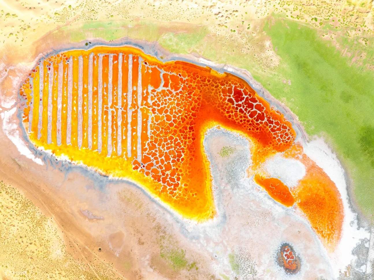 One-Day Tour of Tengger Desert, Yinchuan, Ningxia (Wulan Lake + Swan ...